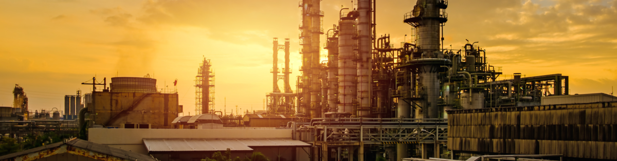 Especialistas en el Rubro Industrial - ELEVA